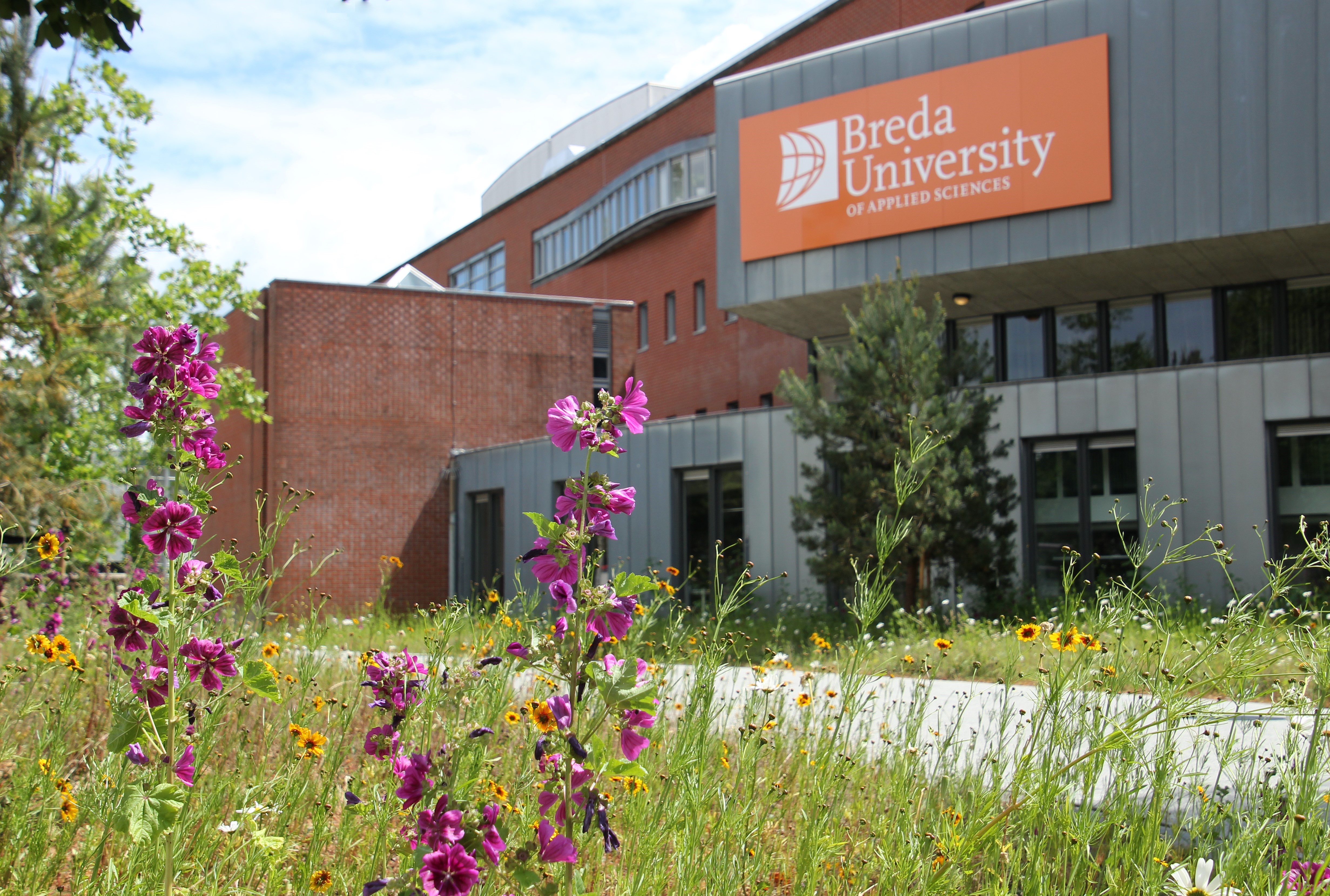 Sustainability: Operations | BUas.nl