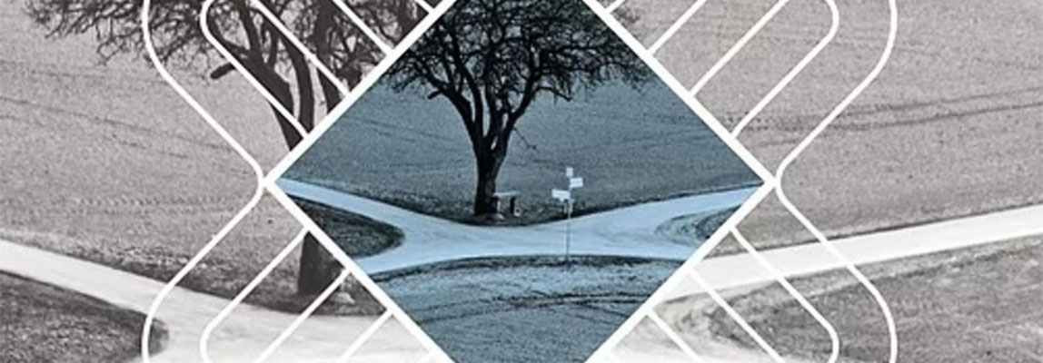 Crossroads - research project | BUas.nl